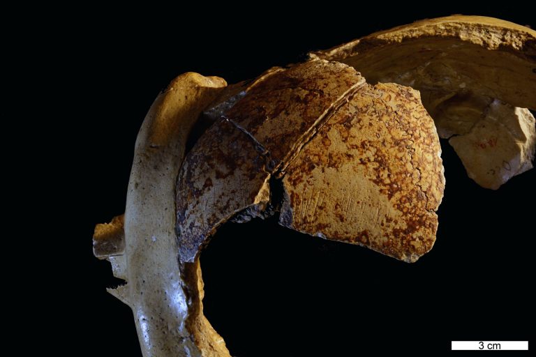 Cannibalism, Ritual, or both: The Neanderthal debate continues at ...