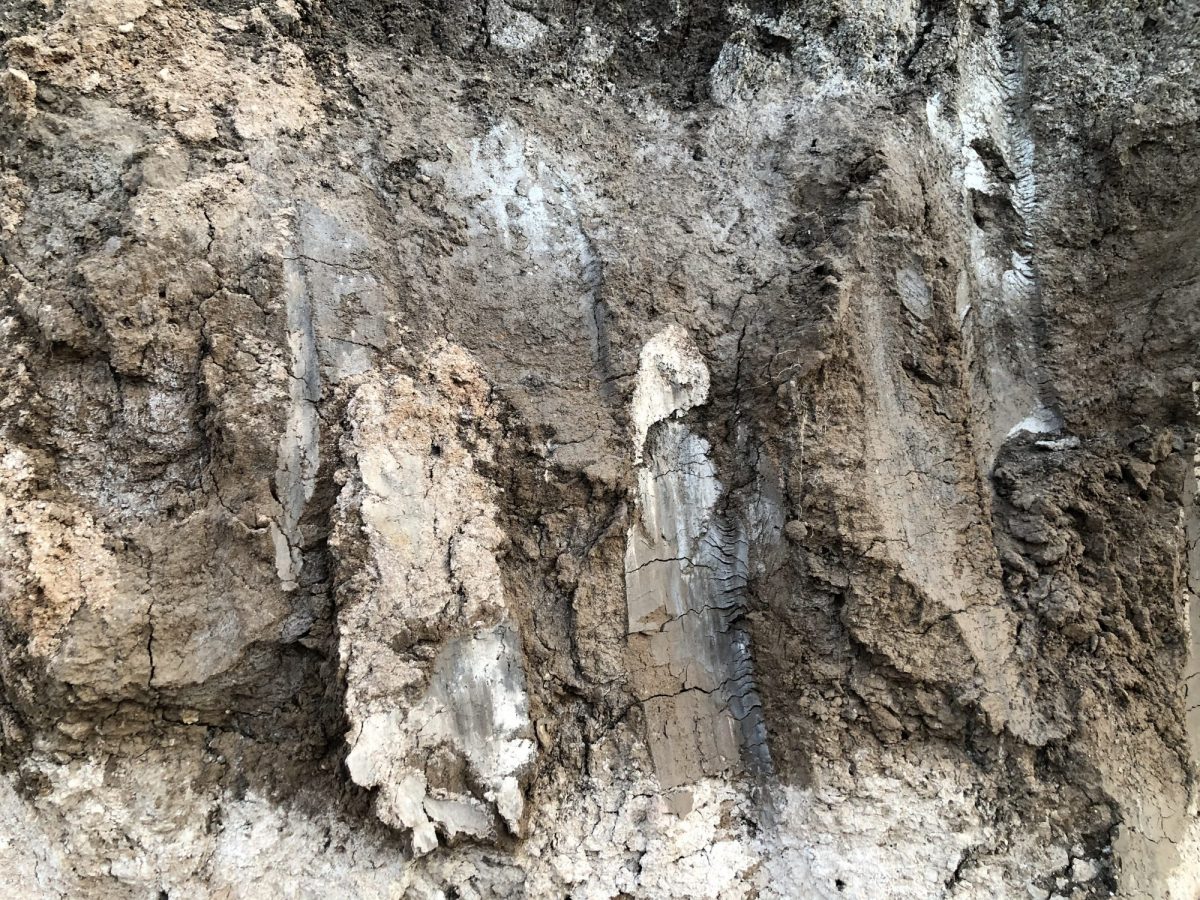 Clay is a Border of Nature, Time, and Space - Magazine