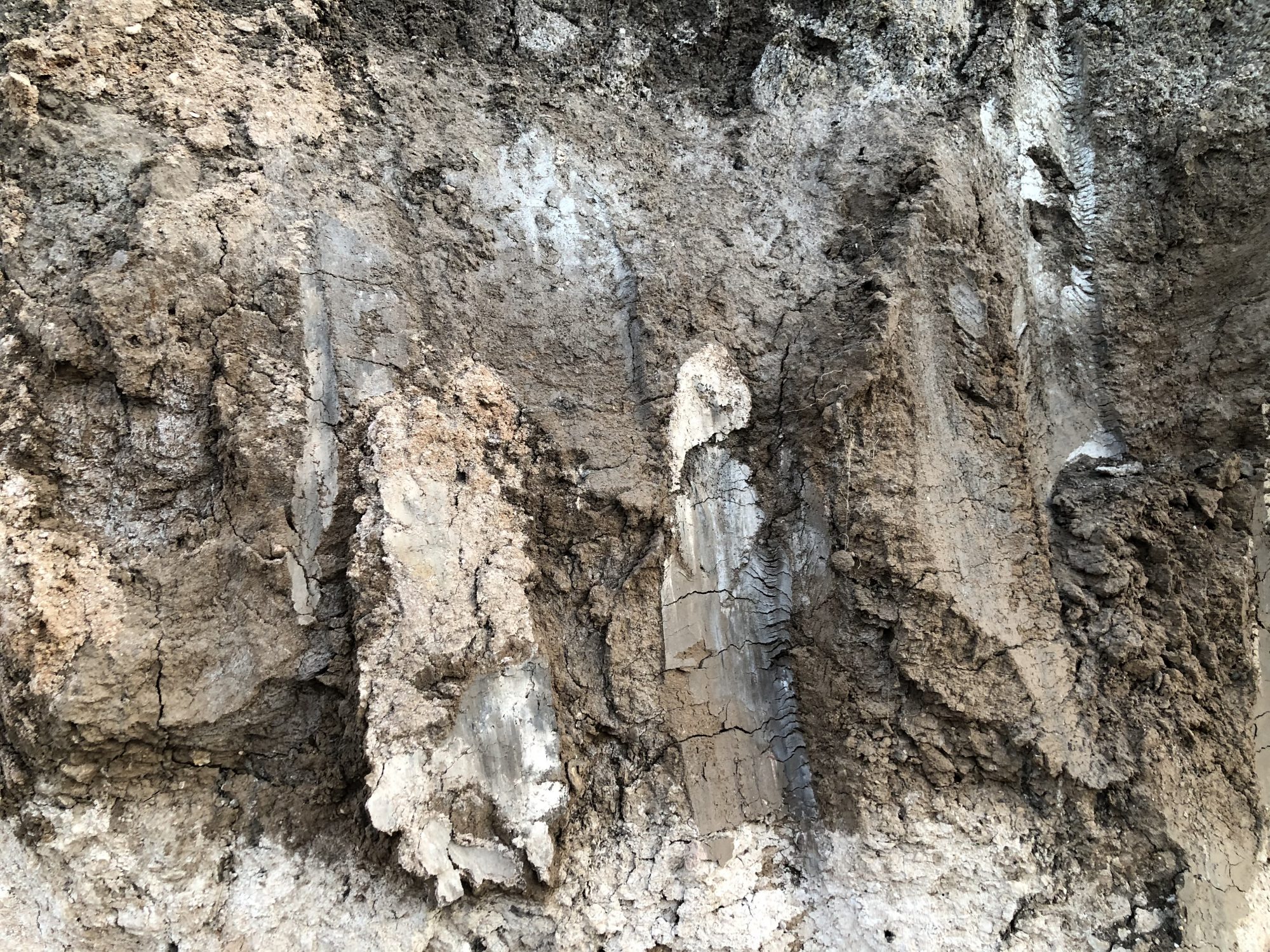 Clay is a Border of Nature, Time, and Space - Magazine