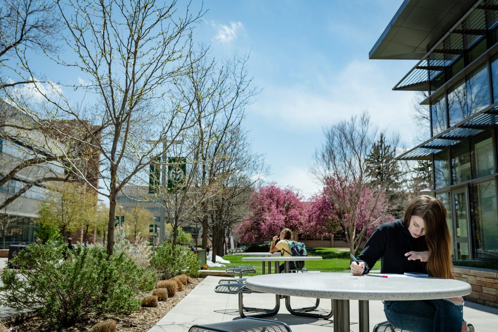 Centering Student Choices: Why Linguistic Justice is a Pivotal and ...